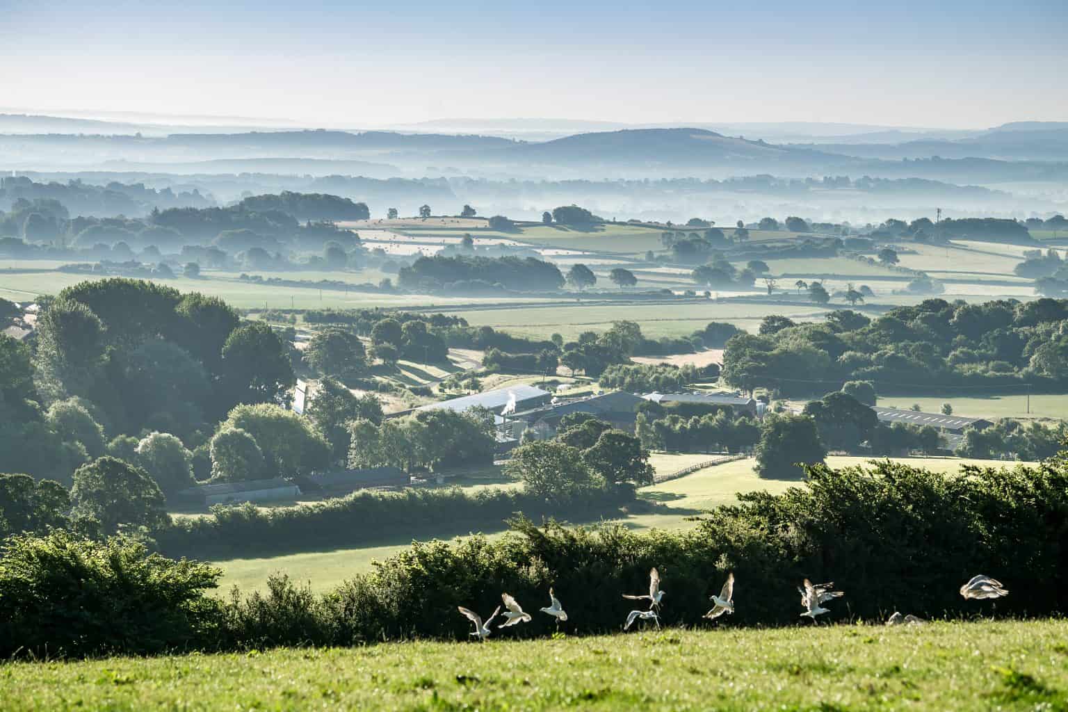 A H Warren Trust | Nurturing Rural Enterprise – South Somerset